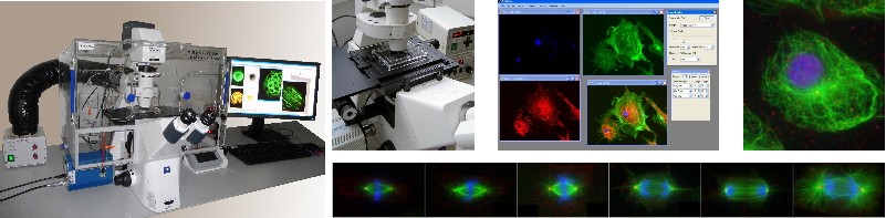 Topview Photonics 人士科技 - 官方網站 - 工業應用&質量控制